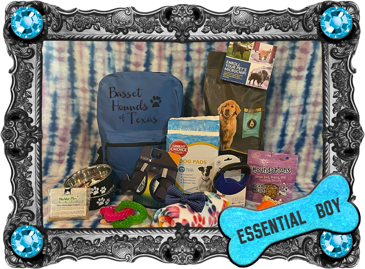 Essential Puppy Package for Male Pups – Basset Hounds of Texas